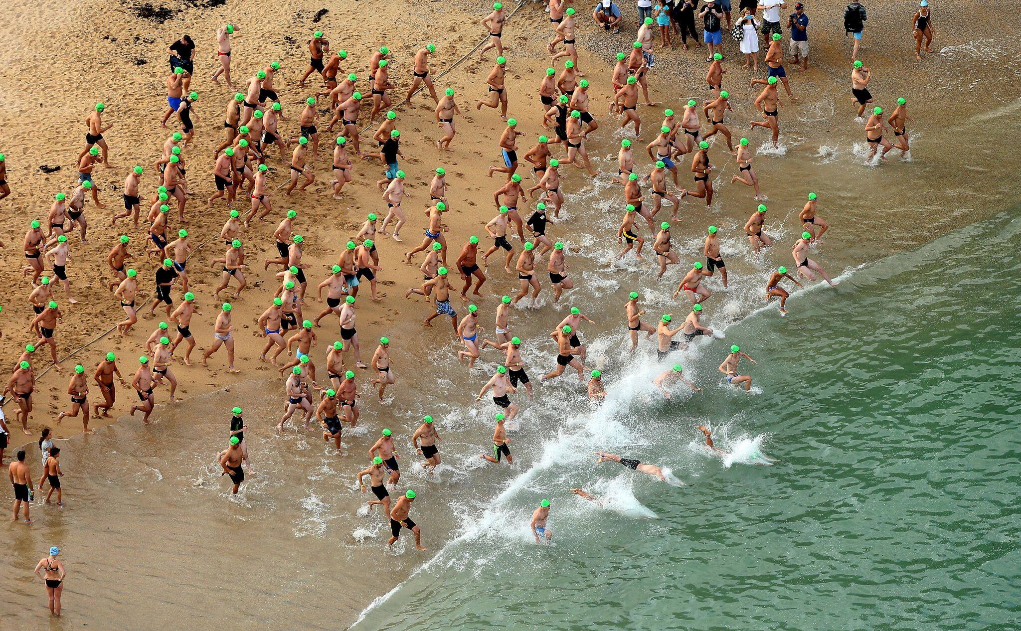 Cole Classic Ocean Swim (2021) Results | SportSplits