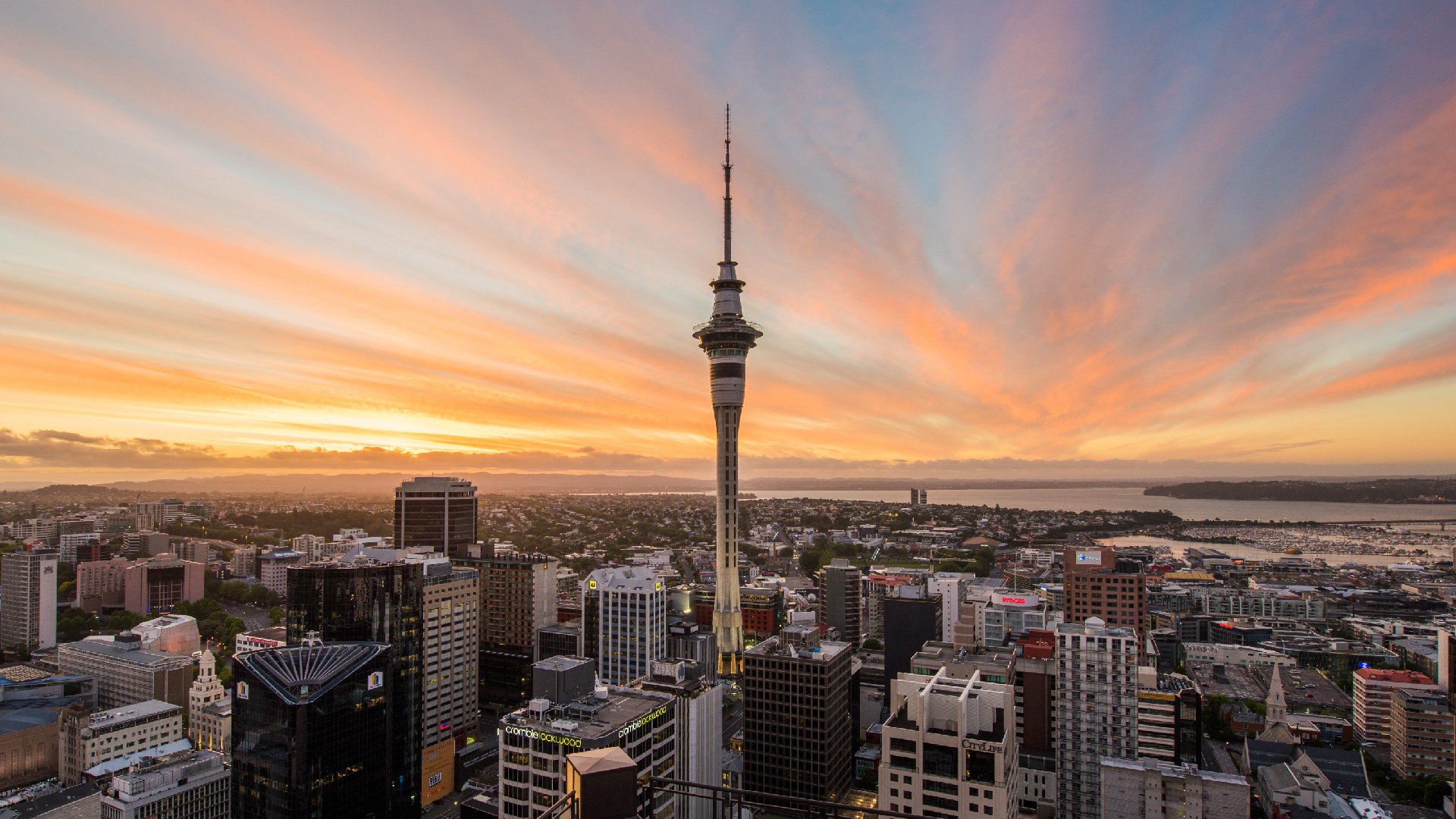 Firefighter Sky Tower Challenge (2023) Results | SportSplits