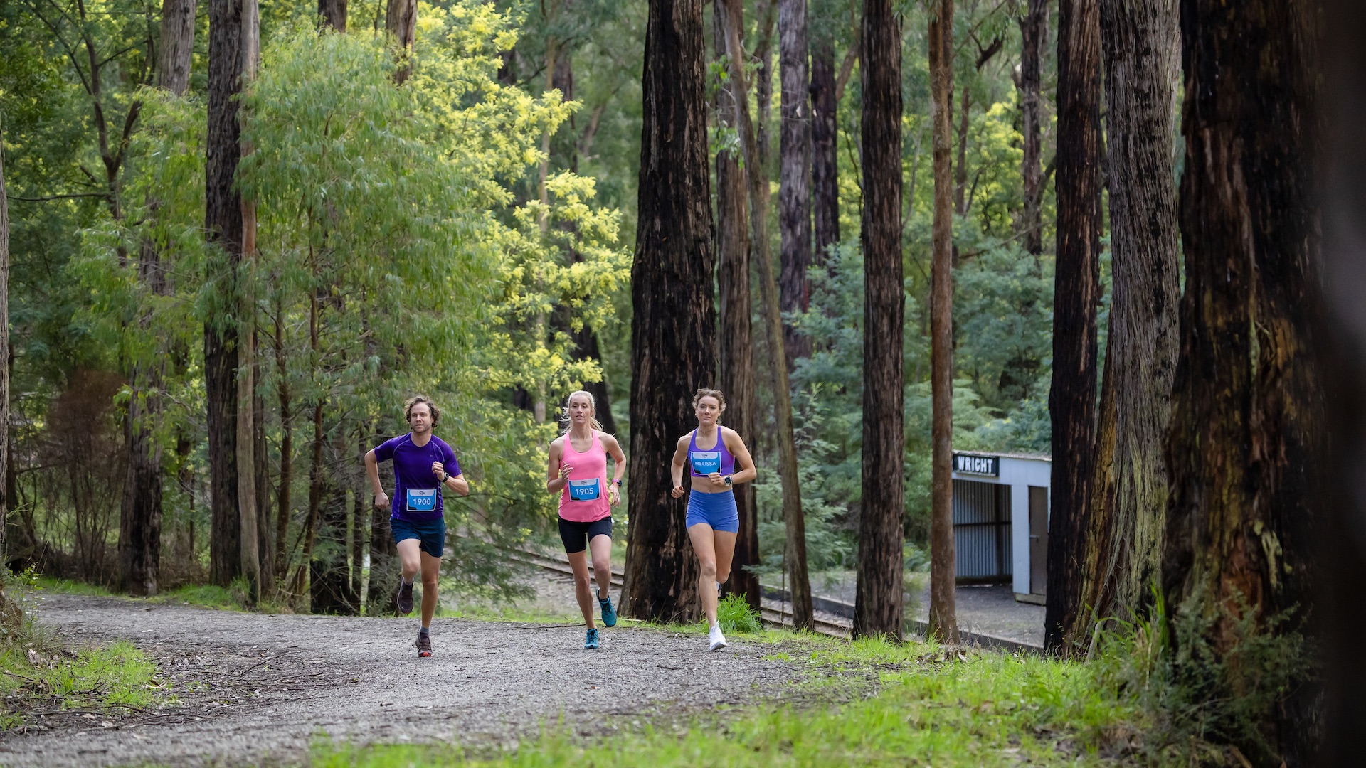 21.1km Half Marathon - Puffing Billy Running Festival (2023 ...