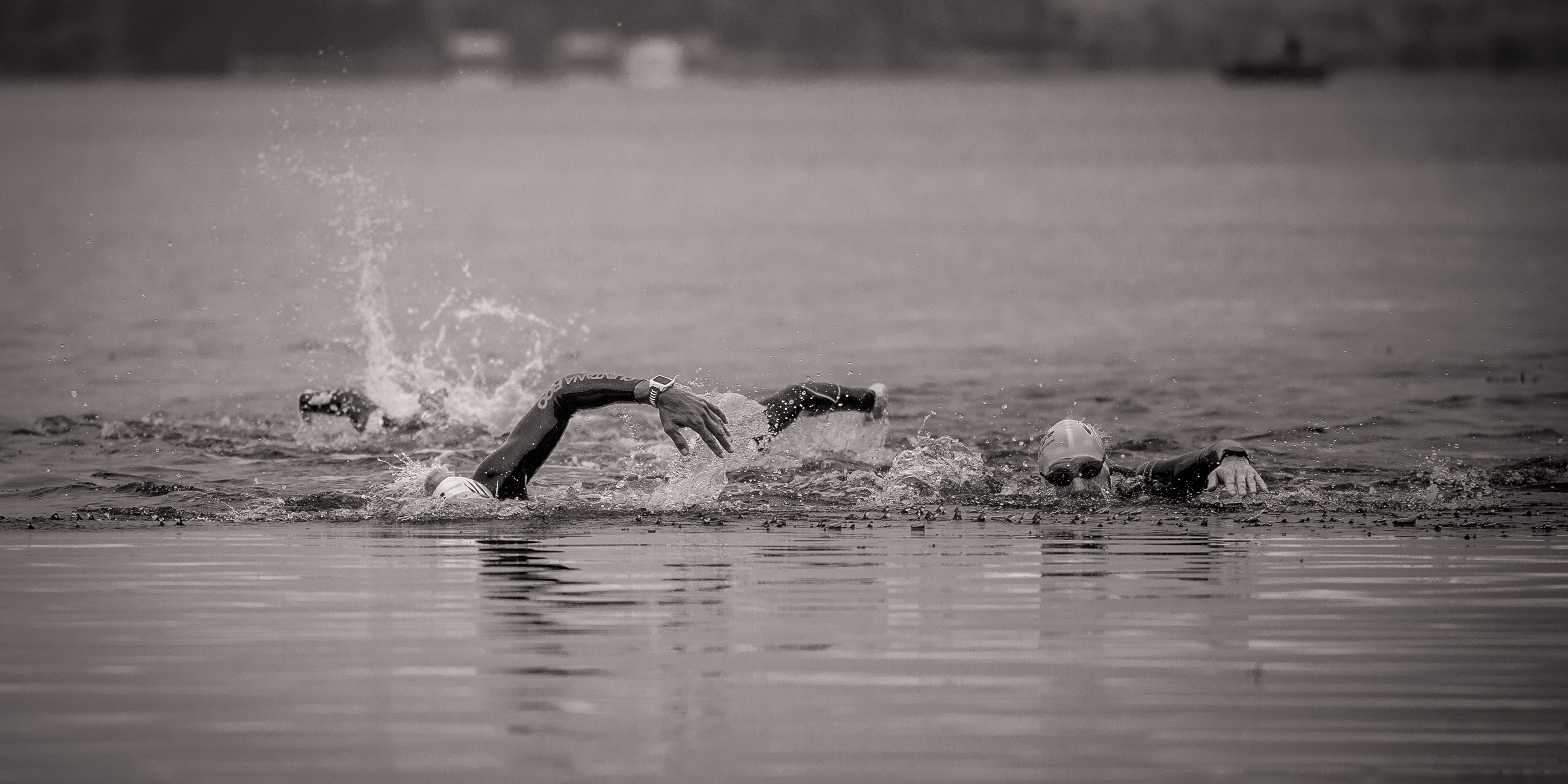 (#1) Luke SCHOFIELD - Elite Men - Cork City Triathlon (2024) | SportSplits