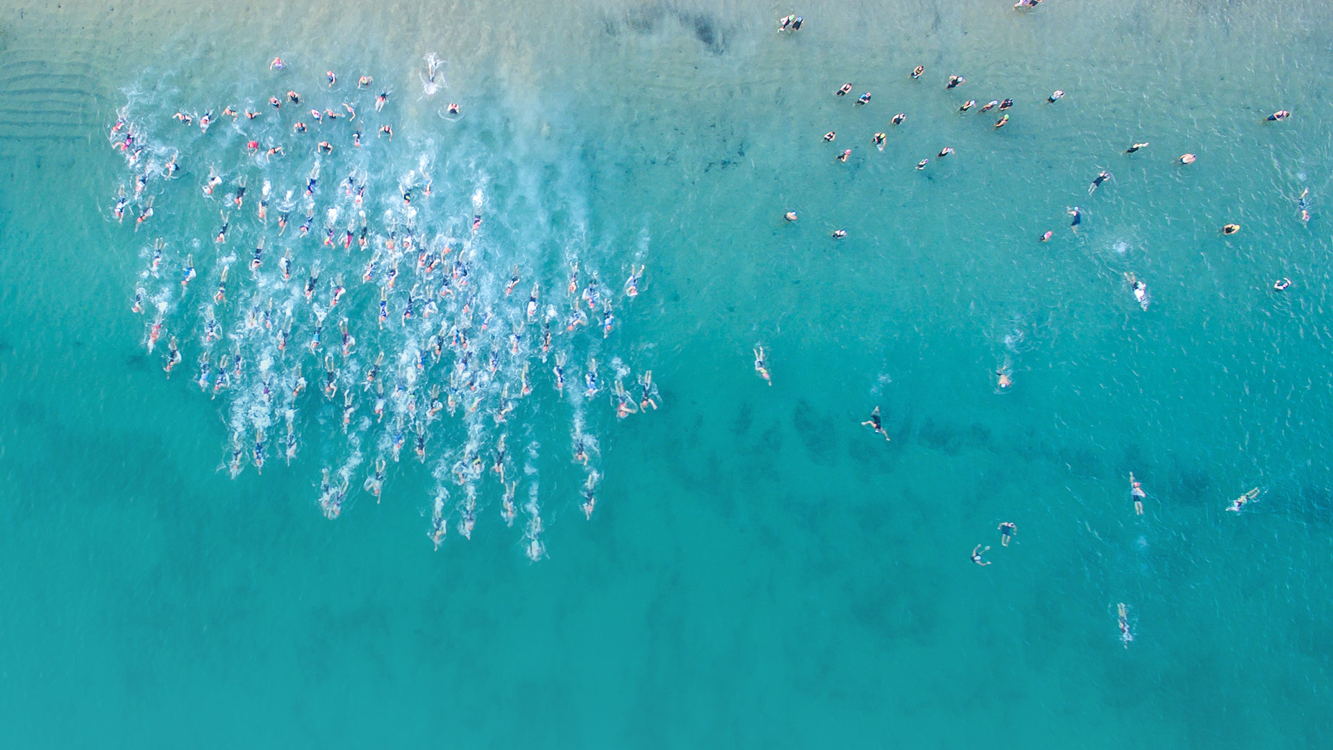 Mooloolaba Triathlon Festival (2025) Results | SportSplits