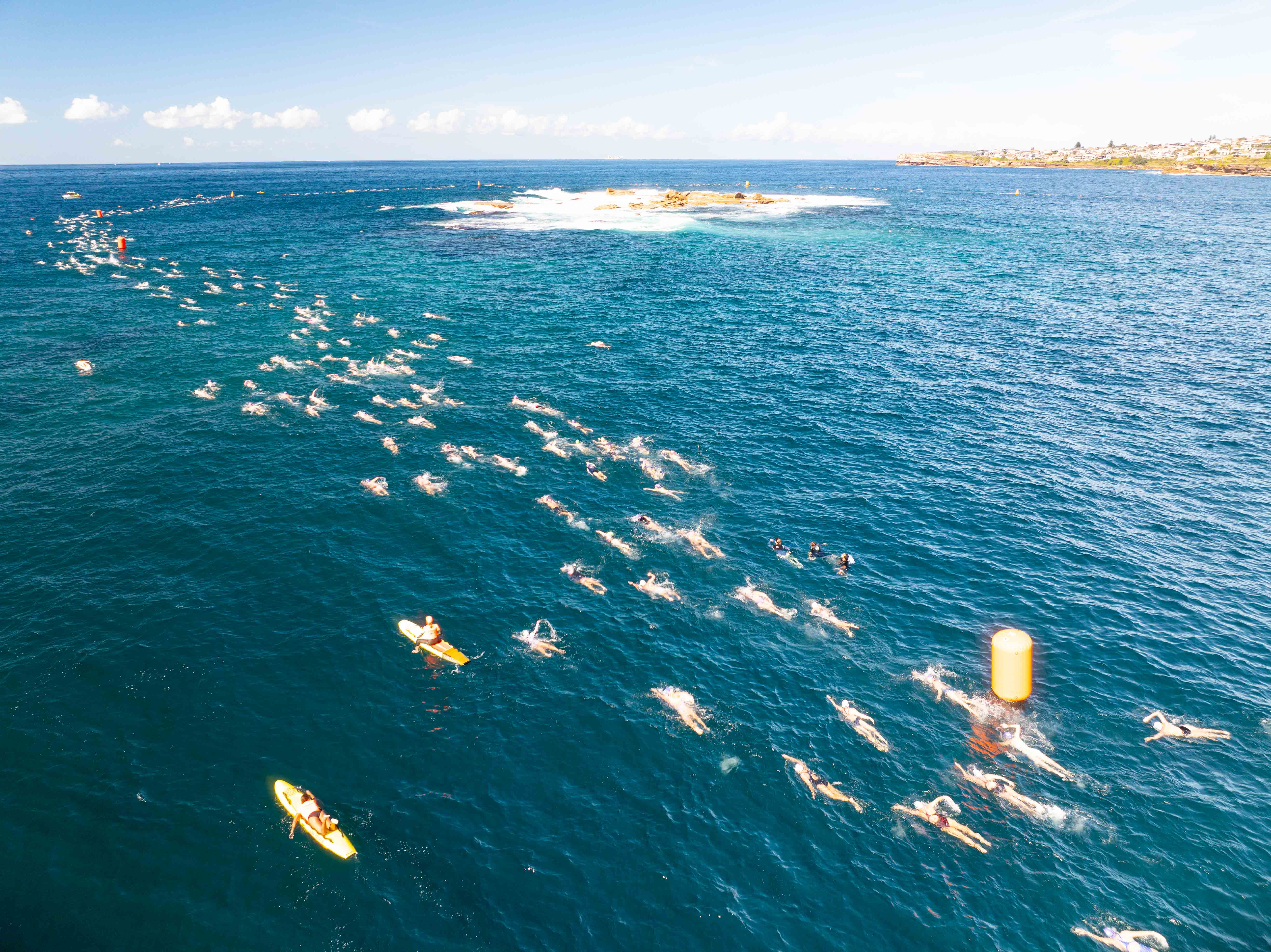 Female 25-29 - 2.4km - Coogee Island Challenge - Spring (2025 ...